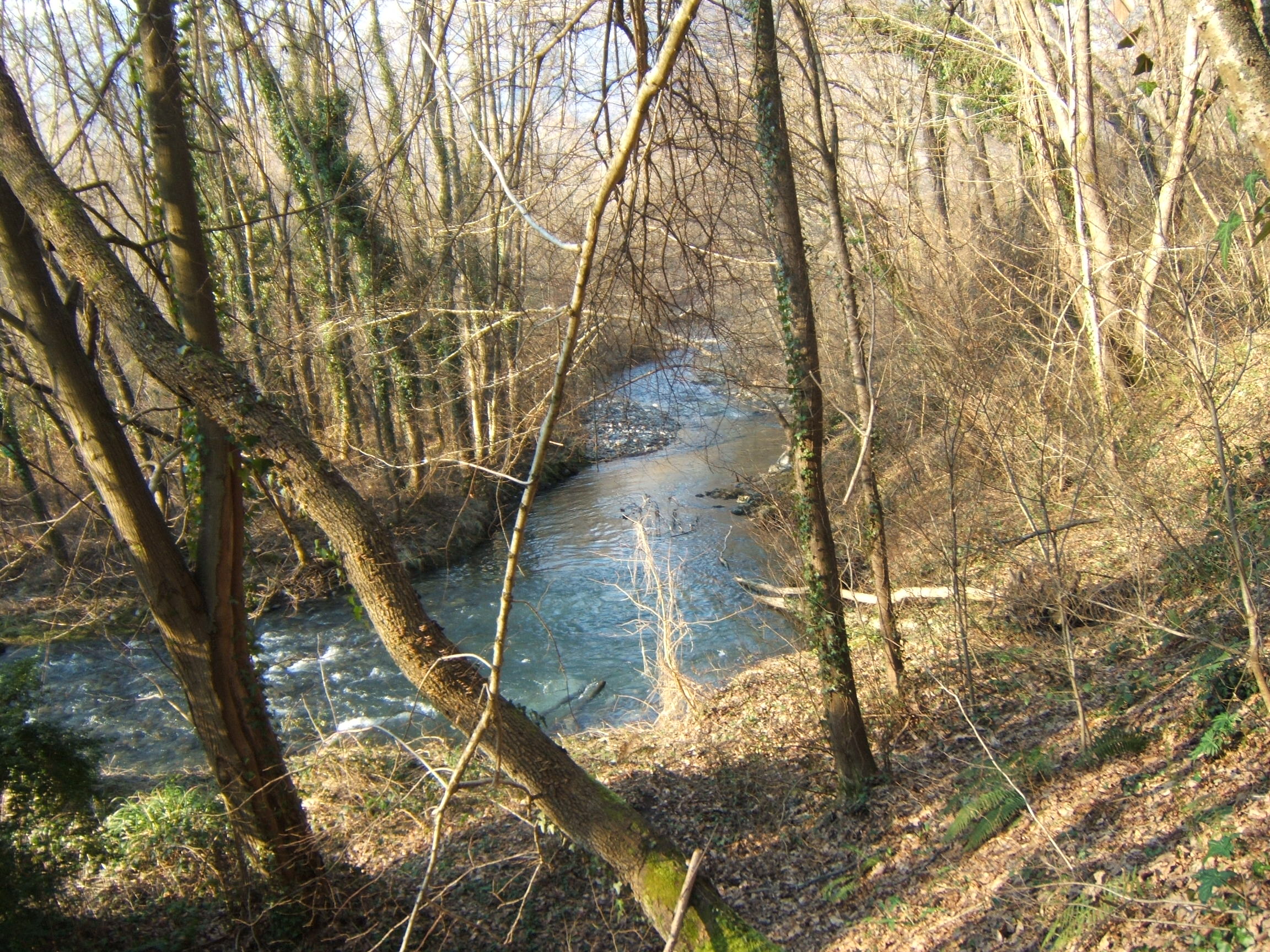 Plan de gestion | PLVG - Pays de Lourdes et des Vallées des Gaves